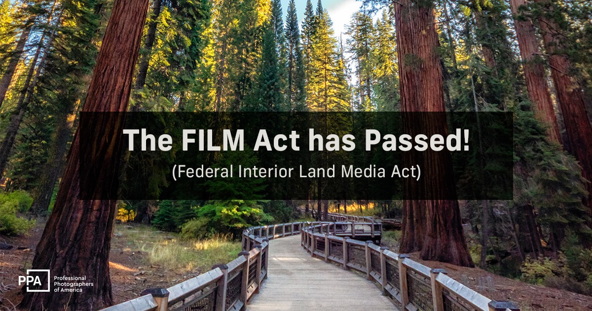 A Win for Creators: The FILM Act is Signed into Law | Professional ...