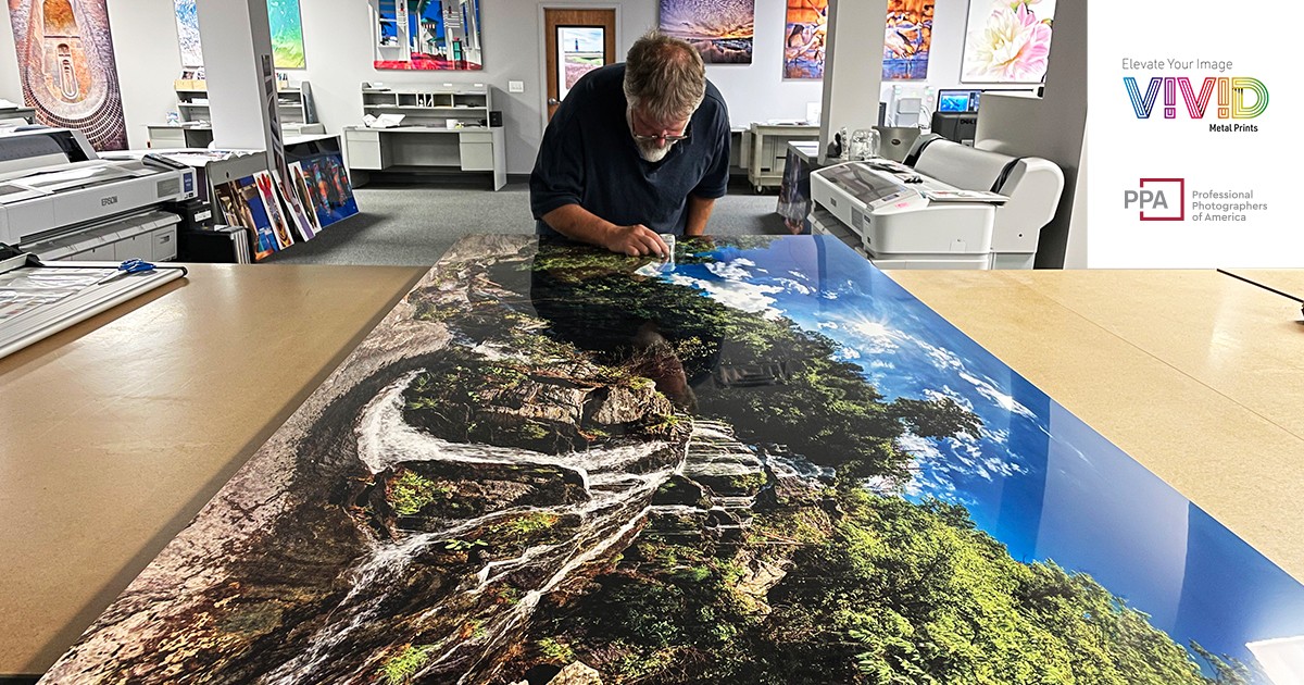 Unlock 20% Off Metal Prints with Vivid Metal Prints – A New PPA Member ...