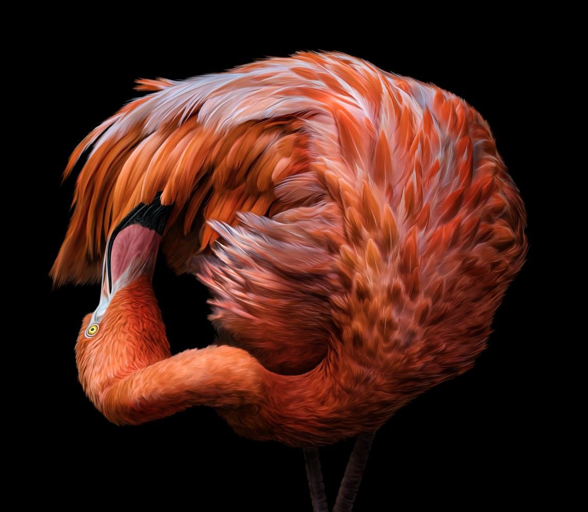 Diamond Hunting | Professional Photographers of America