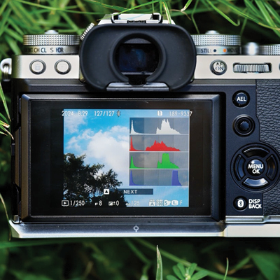 CPP Module 4: D How to Read and Interpret a Histogram | Professional ...