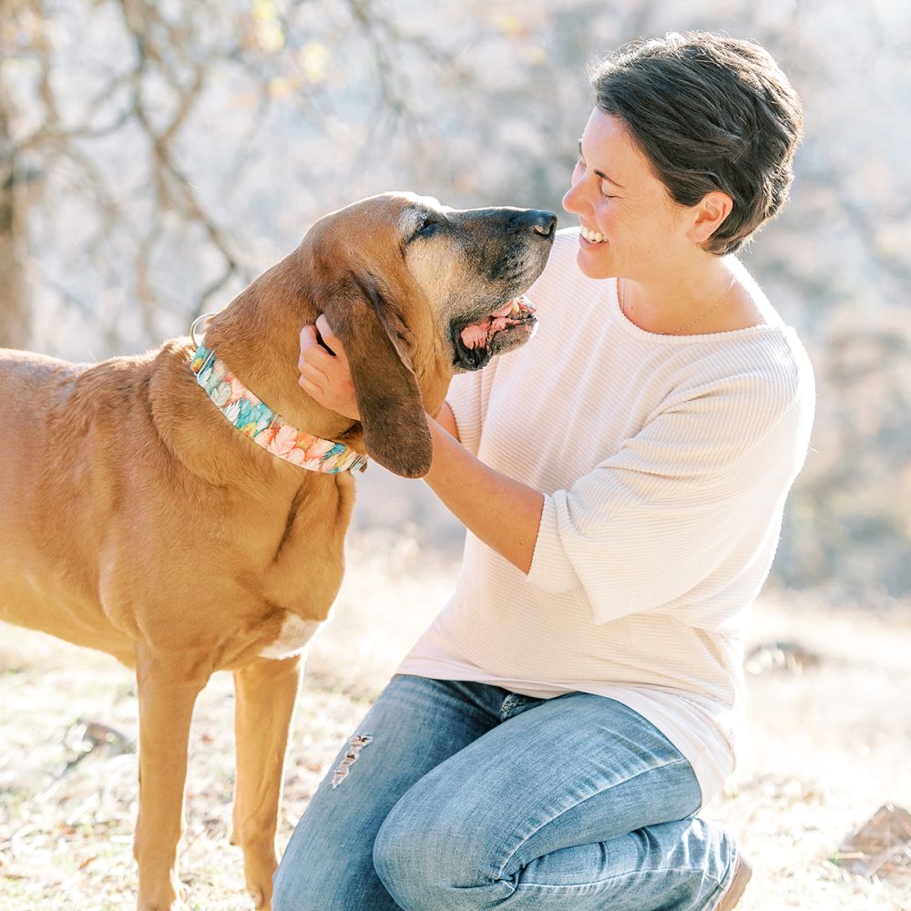 Inspirational Pet Photography Business Model | Professional ...